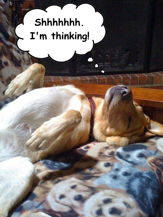 Episode 78: The Power of Latent Learning