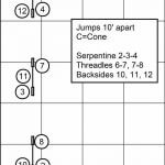 The Serpentine Sequence in Dog Agility