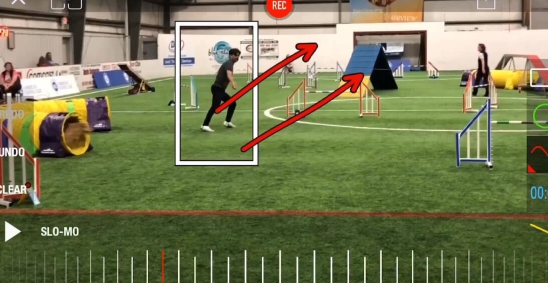 Creating the Best Line for Your Agility Dog - Bad Dog Agility