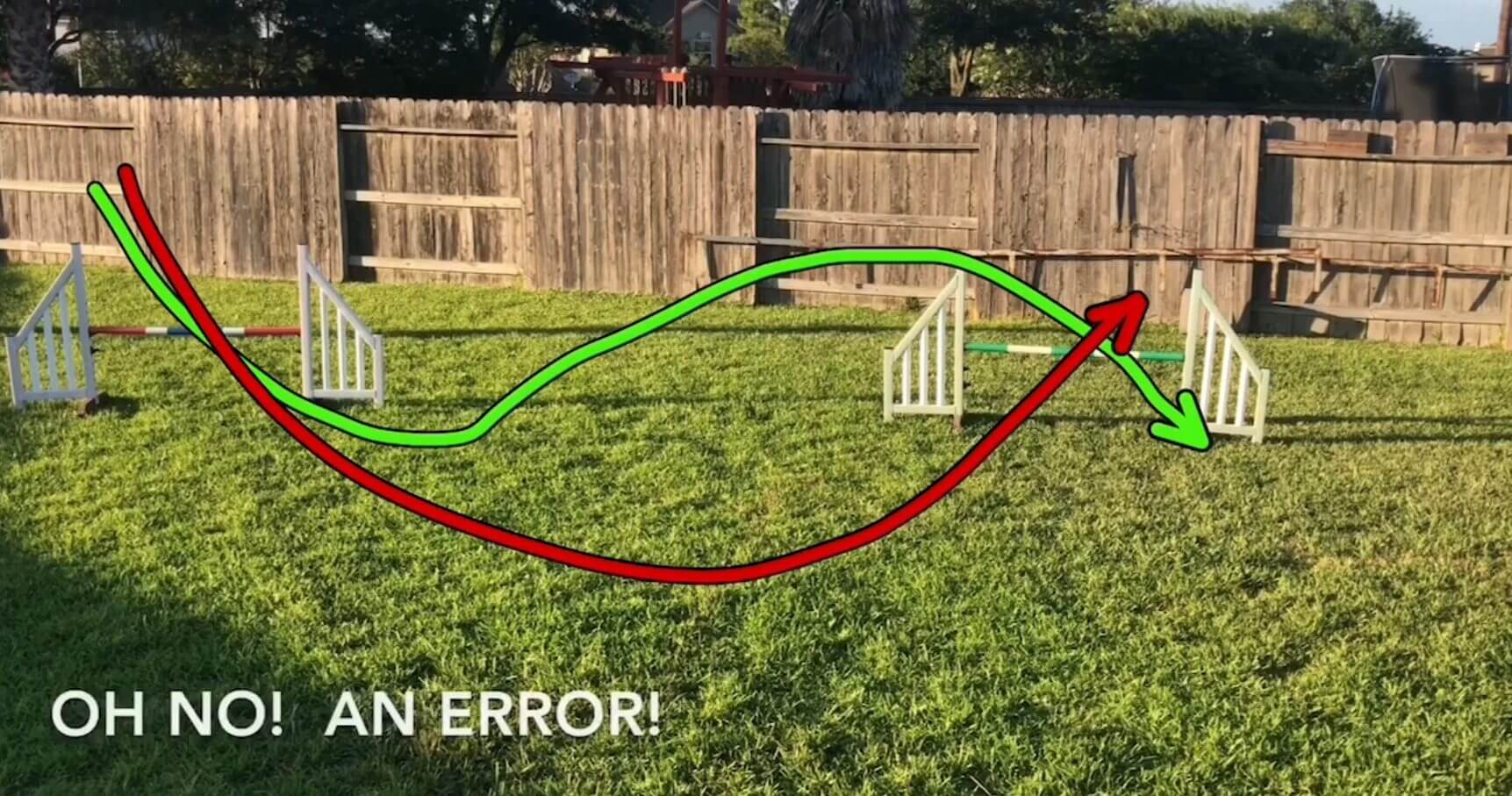 How to Help Your Agility Dog Get It Right - Bad Dog Agility