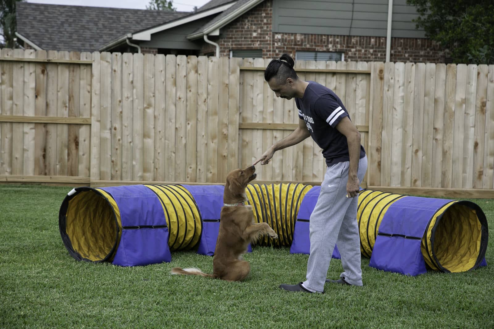 Episode 318: Should You Teach an Old Dog New Tricks? - Bad Dog Agility