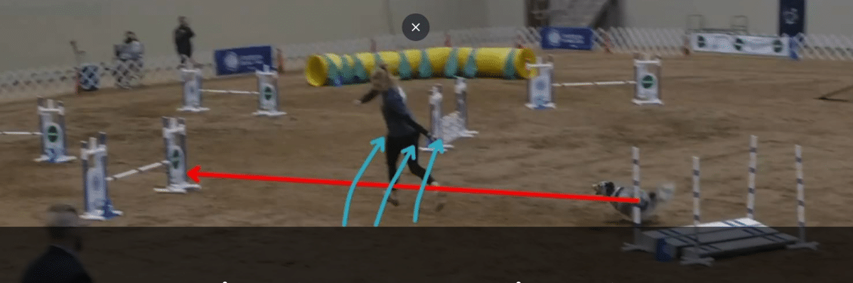 Trial Review Tuesday 4/25/2023 - Bad Dog Agility