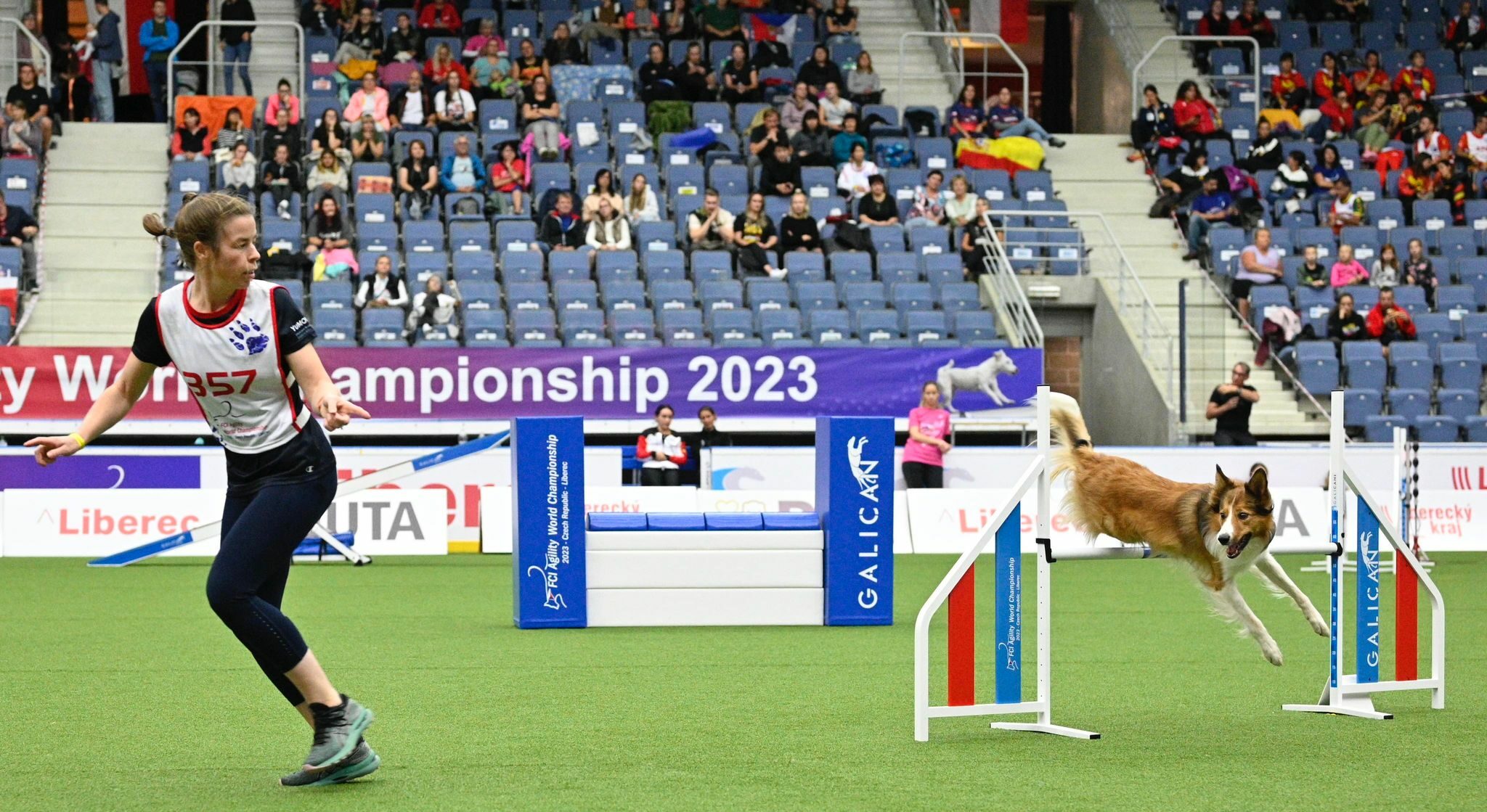 Episode 326: Interview with US Open Champion Perry DeWitt - Bad Dog Agility