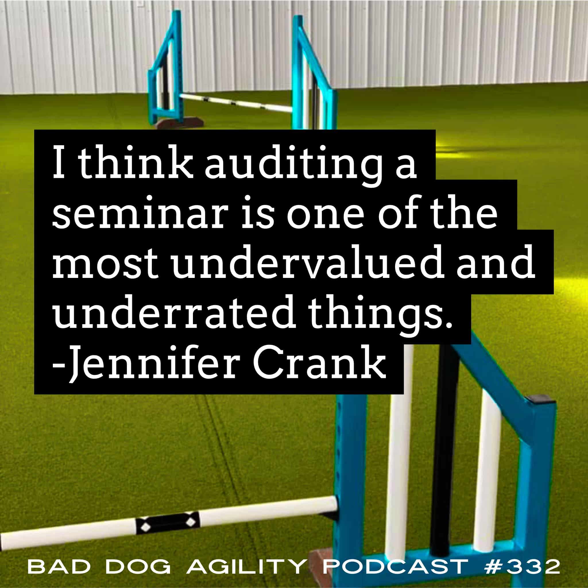 Episode 332: Agility Seminars - Bad Dog Agility