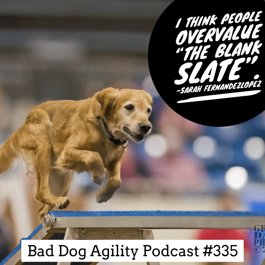 Episode 335: Getting an Adult Dog for Agility - Bad Dog Agility