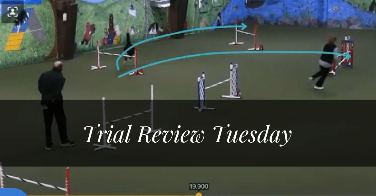 Trial Review Tuesday 4/9/2024 - Bad Dog Agility