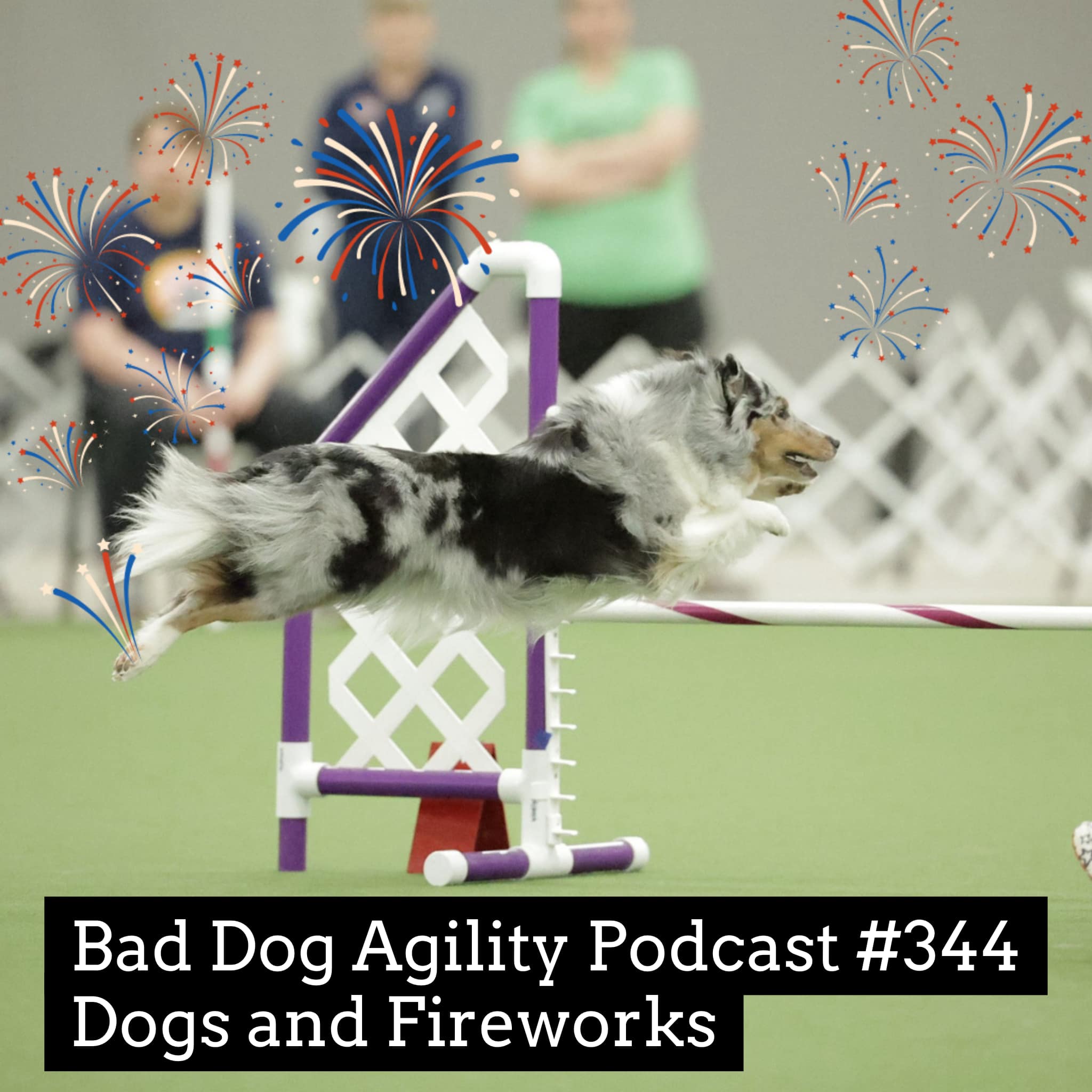 Episode 344: Dogs and Fireworks - Bad Dog Agility