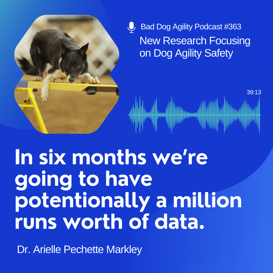 Episode 363: New Research Focusing on Dog Agility Safety - Bad Dog Agility