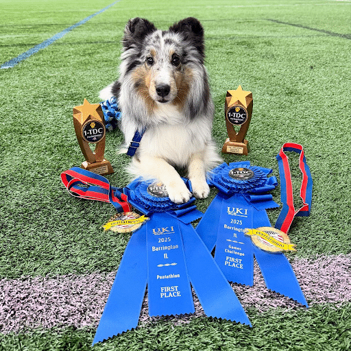 April 2nd, 2025 Wednesday Wrap Up (Dogwalk Research Underway, Lower NAC ...