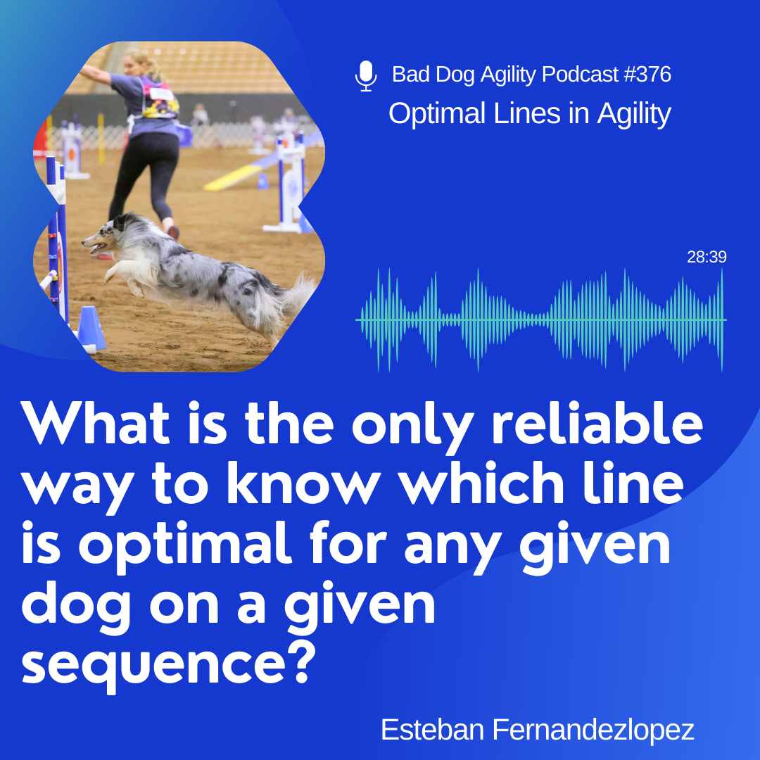 Episode 376: Optimal Lines in Agility - Bad Dog Agility